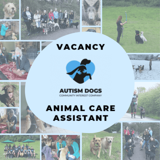 Vacancy - Animal Care Assistant | Autism Dogs CIC